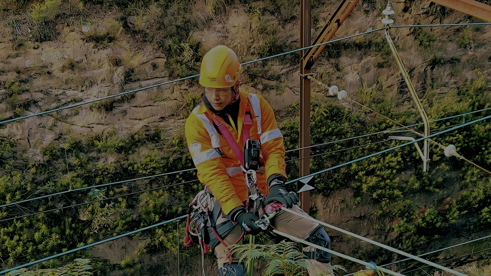 Home - Outdoor Solution Australia